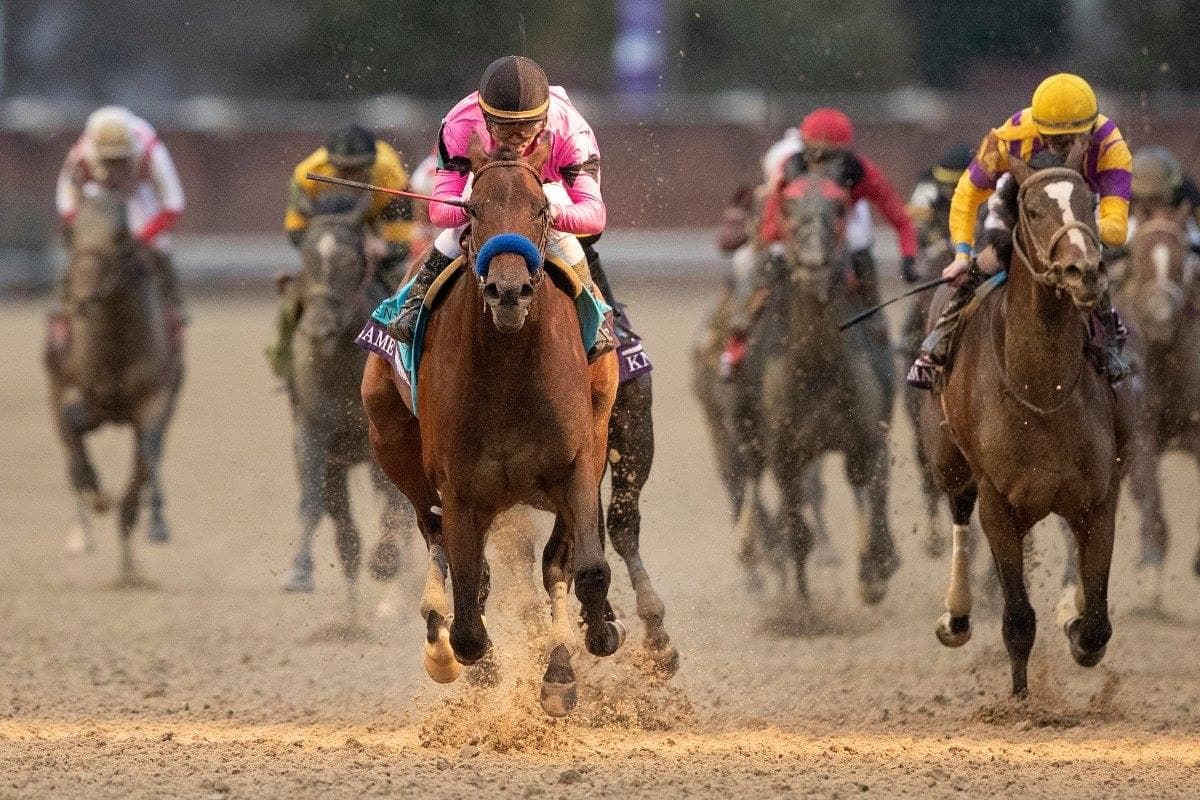 The World's Finest Thoroughbred Races