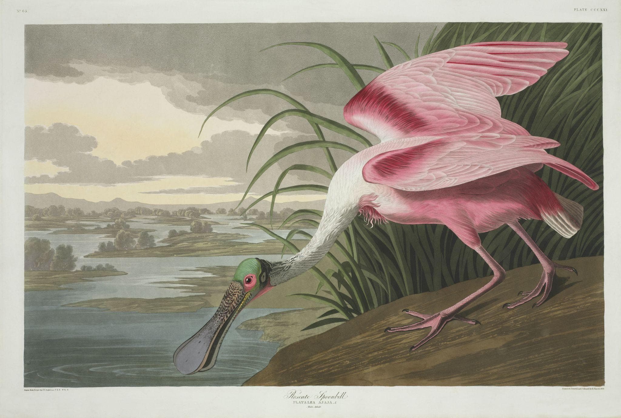 Most Expensive Book in the World: Rare and Valuable Books